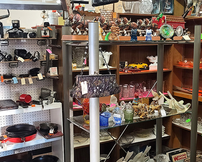 A photographer's corner meets nostalgic toys – where vintage cameras that captured history sit alongside collectibles that defined childhoods.