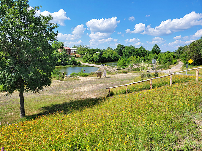 Wildflowers painting the riverbank like nature's confetti, celebrating another perfect day in the Texas Hill Country.