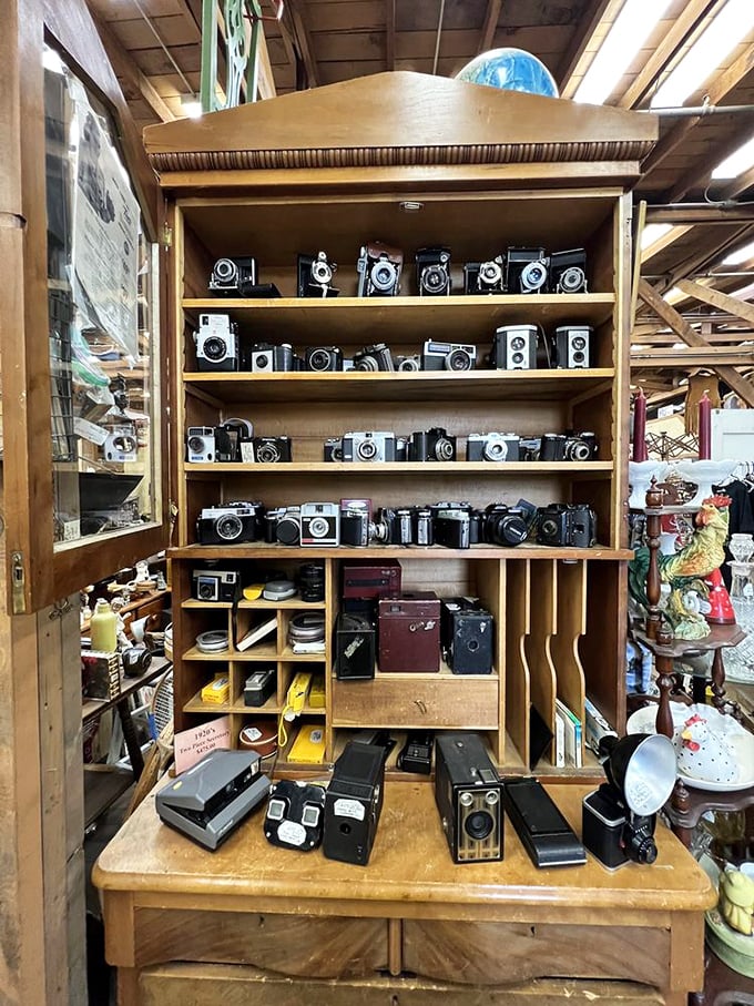 These vintage cameras captured more memories than your smartphone ever will, guaranteed. 