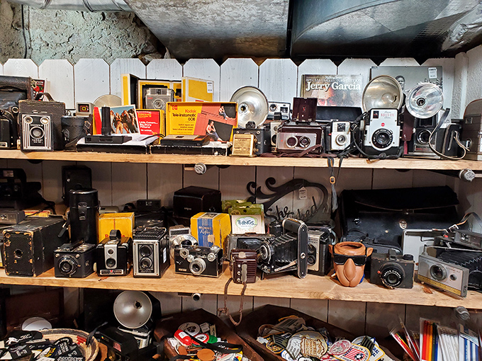 A photographer's dream or a time capsule? These vintage cameras once captured family memories and now wait for their second act.