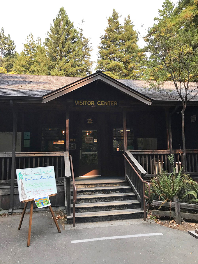 The visitor center: where you go to learn why feeling tiny is actually a good thing.