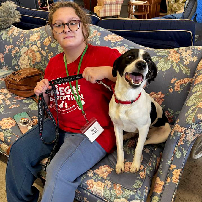 Even four-legged friends appreciate a good thrift shop sofa&mdash;this happy pup seems to have found his perfect match in floral upholstery.