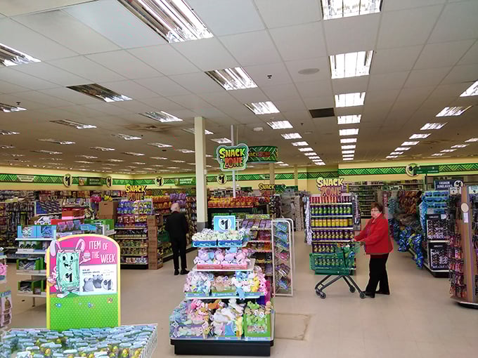 Shoppers navigate the well-stocked aisles with purpose. The universal dance of dollar store discovery transcends age and background.