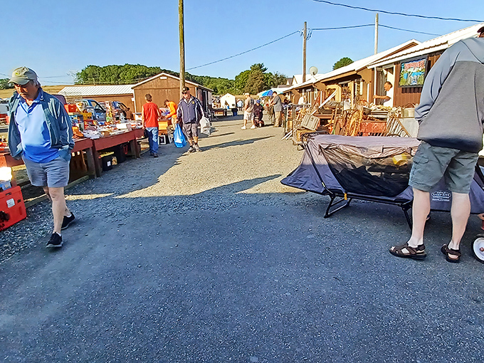 Early birds navigate the market's pathways with purpose, knowing the unwritten rule of flea markets: dawn's light reveals treasures that noon's sun will never see.