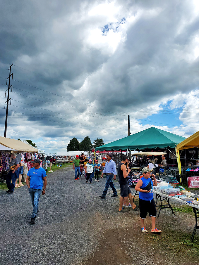 The weekend crowd navigates the gravel pathways between vendor tents, each shopper on their own personal quest for the perfect find.