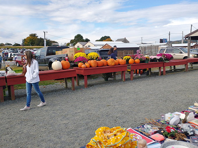 Fall brings a harvest of pumpkins and mums to Jake's outdoor tables, where seasonal shopping becomes a sensory experience under Pennsylvania's autumn skies.
