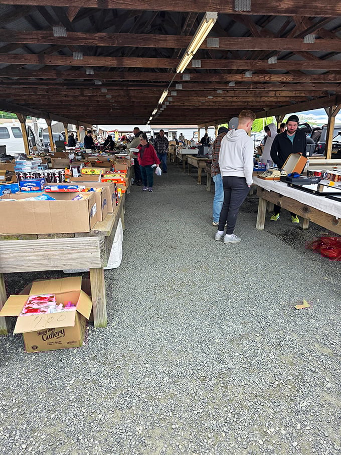 Under rustic wooden beams, treasure hunters methodically scan tables, each with that distinctive "I might find something amazing" gleam in their eyes.