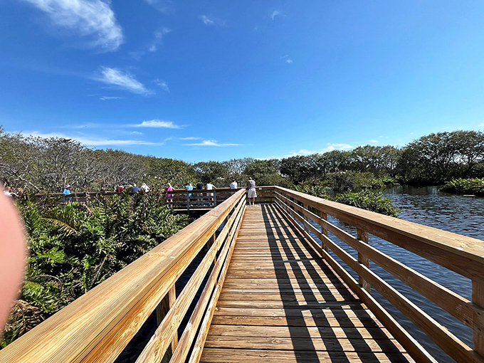 Wakodahatchee Wetlands' boardwalk offers million-dollar views of Florida's natural splendor without costing you a single admission penny.