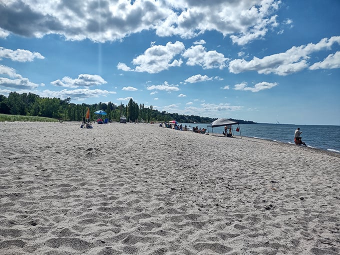 Lake Erie pretends to be an ocean at Walnut Beach Park, where Ohioans get coastal vibes without the coastal price tag.
