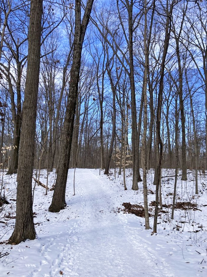 Winter transforms Highbanks into a hushed wonderland where even your breath becomes visible art against the crisp blue sky.