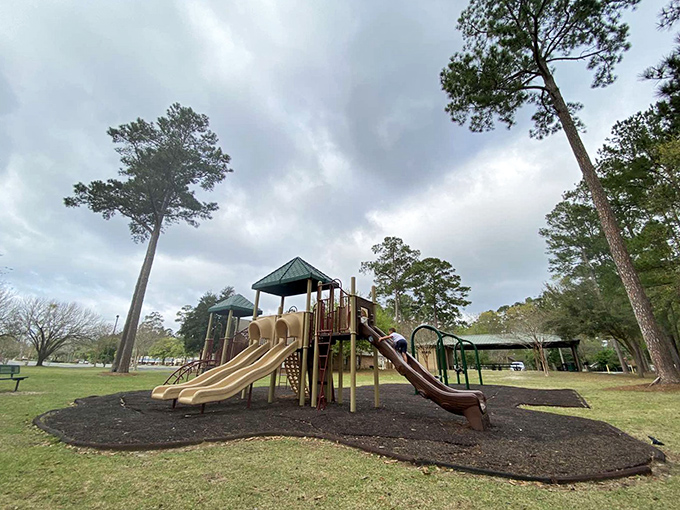 Local parks offer free entertainment for grandkids and peaceful retreats for afternoon strolls. Nature's playground doesn't charge admission.