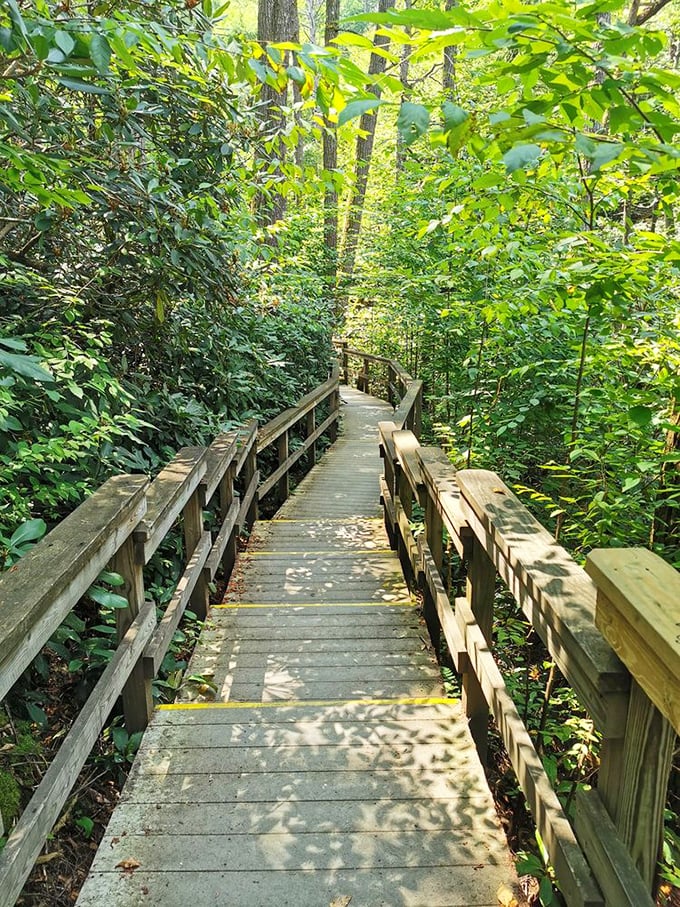 The wooden boardwalk winds through dense forest like nature's red carpet to the main attraction.