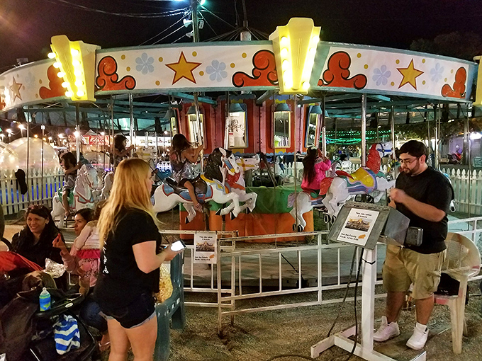 Nothing says family fun like a classic carousel that spins childhood memories into pure golden magic. 