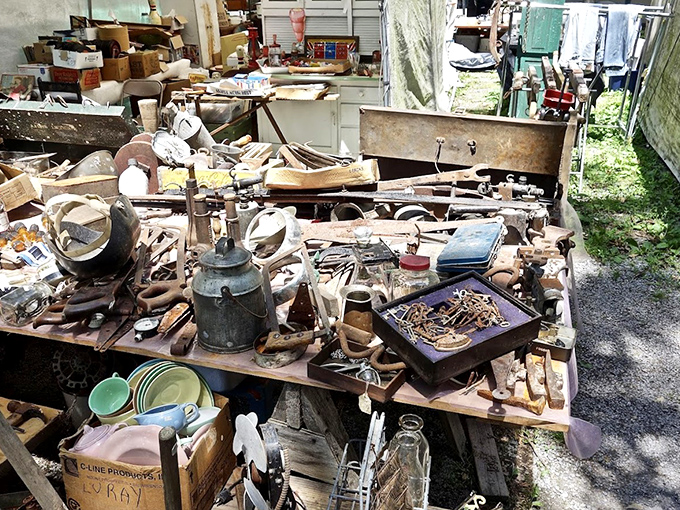 Organized chaos at its finest. This table of tools and trinkets is where your grandfather would happily spend an entire afternoon.