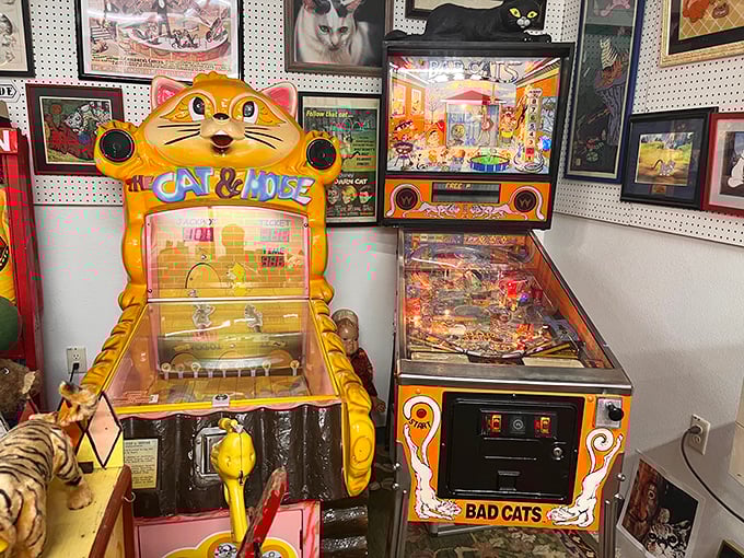 Even the arcade games here pay homage to our feline friends &ndash; the "Bad Cats" pinball machine practically purrs with vintage charm.