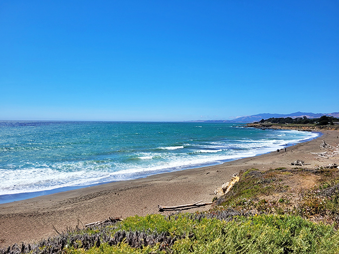Endless Pacific horizons stretch beyond pristine sands where time moves at the perfect pace for soul restoration.