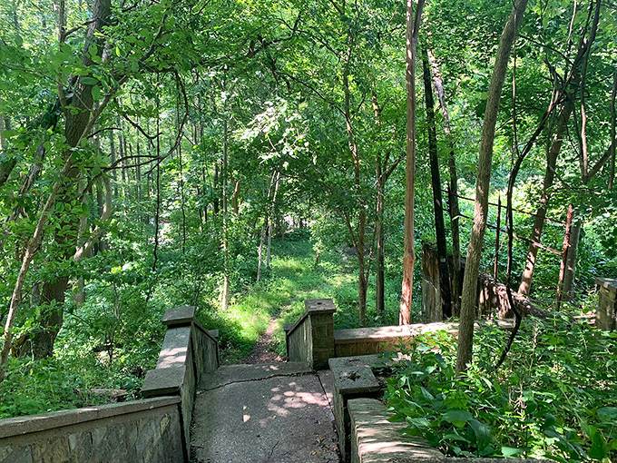 Nature therapy comes free of charge on Steubenville's walking paths, where dappled sunlight creates patterns more soothing than any meditation app.