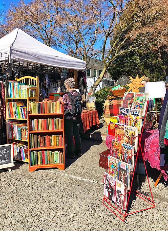 A literary treasure trove where bibliophiles can find everything from dog-eared classics to comic book heroes waiting for rescue.