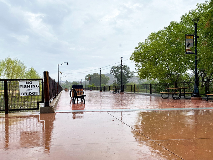 After desert rains, this peaceful walkway transforms into front-row seating for the Hassayampa River's rare appearance&mdash;Mother Nature's limited engagement performance.