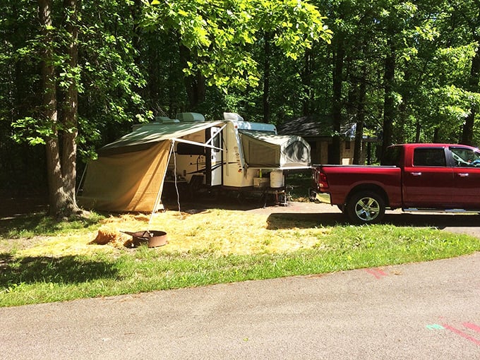Home sweet temporary home. This cozy campsite nestled among towering trees offers the perfect balance of wilderness and comfort.