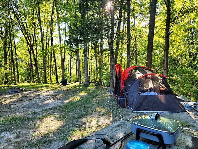 Camping nirvana achieved. When your temporary address includes dappled sunlight filtering through a cathedral of trees, you know you've made excellent life choices.