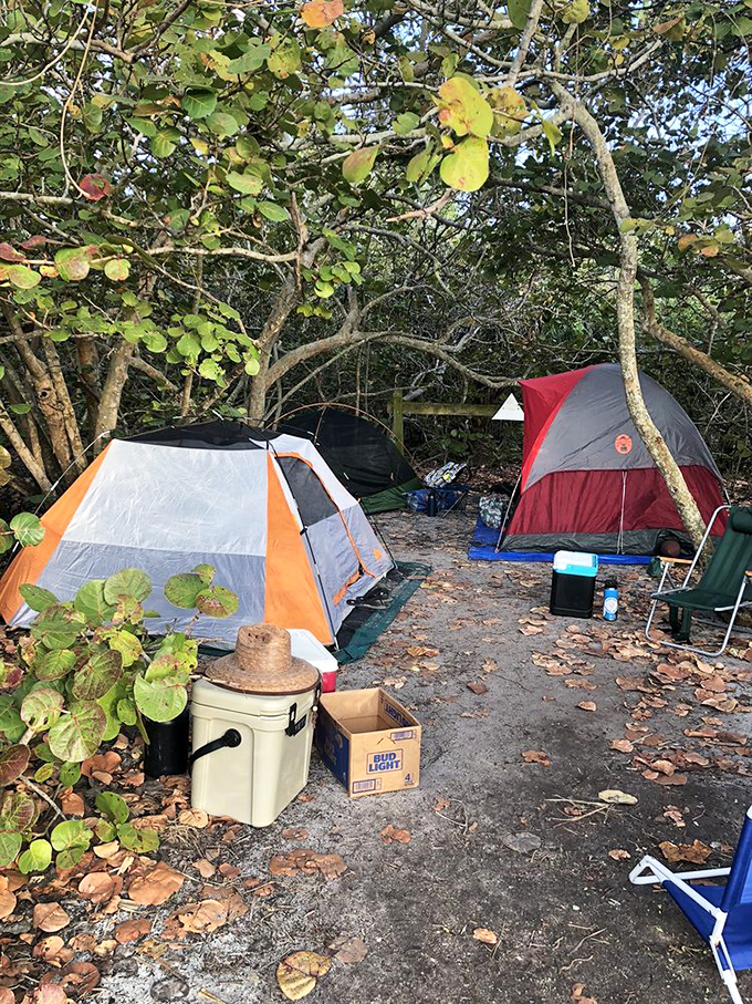 Camping among sea grapes and palms&mdash;where "roughing it" means sand in your shoes and stars as your ceiling.