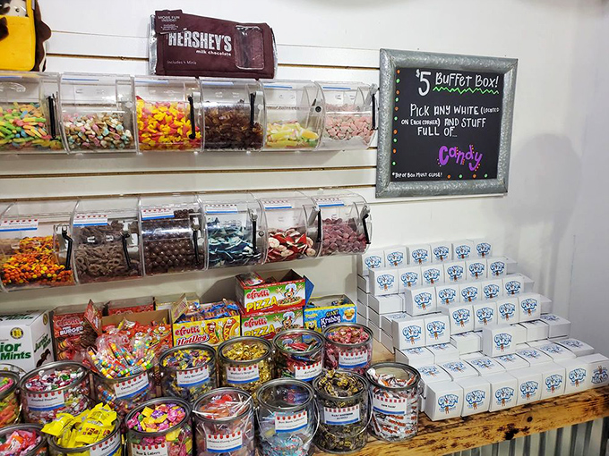 The candy buffet system is genius in its simplicity: pick a container, fill it with joy, and try not to giggle like a 10-year-old on a sugar high.