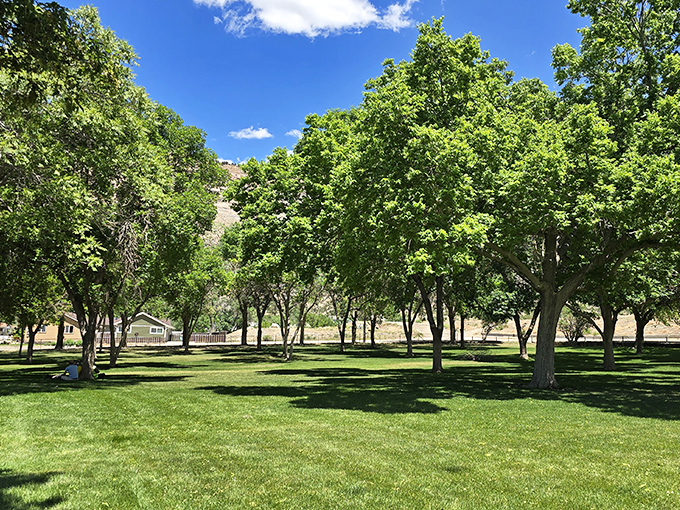 Beneath a canopy of shade trees, Helper's city park offers a green oasis where the only notification you'll receive is the sound of birds.