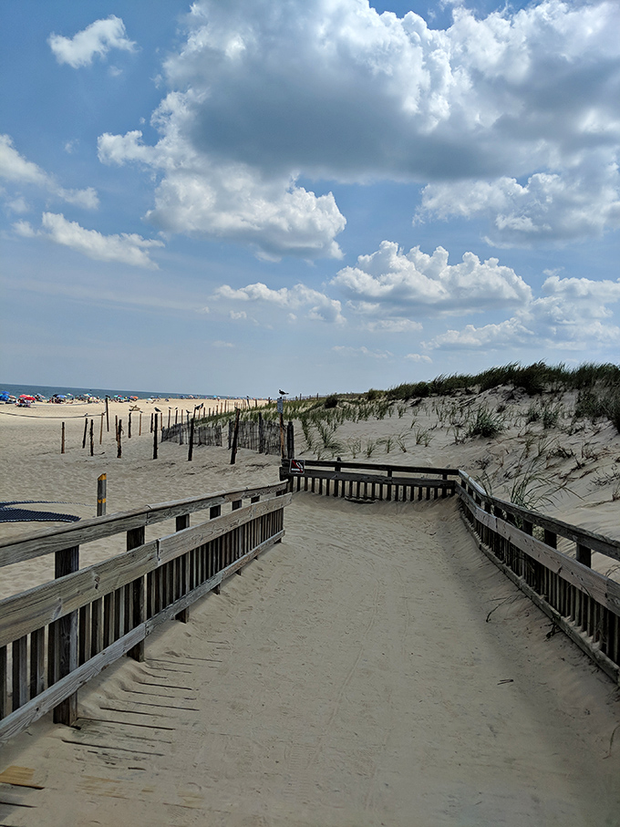 The dune walkover: nature's version of the red carpet, leading you to the main event with just enough suspense.