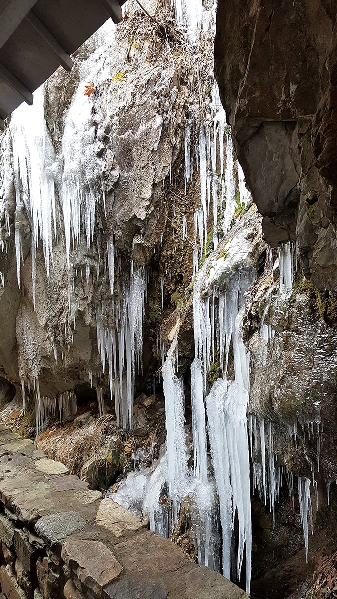 Winter transforms the cavern entrance into nature's ice sculpture gallery, proving this attraction offers seasonal magic above and below ground.