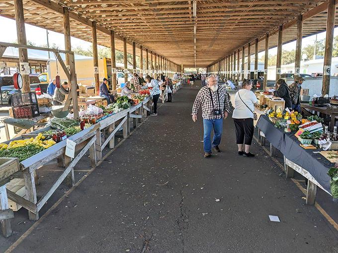 The farmers market equivalent of a buffet line. Shoppers stroll past tables laden with garden-fresh possibilities, plotting their week's menu in real-time.