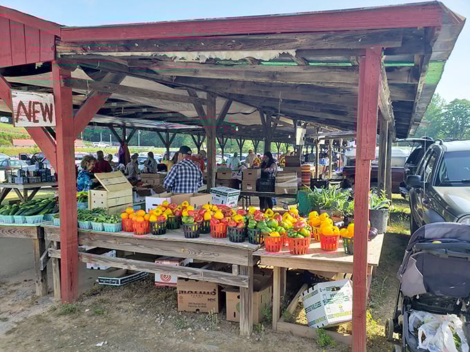 Nature's paintbox on display. These vibrant peppers and fresh produce could make even a committed fast-food junkie consider cooking dinner tonight.