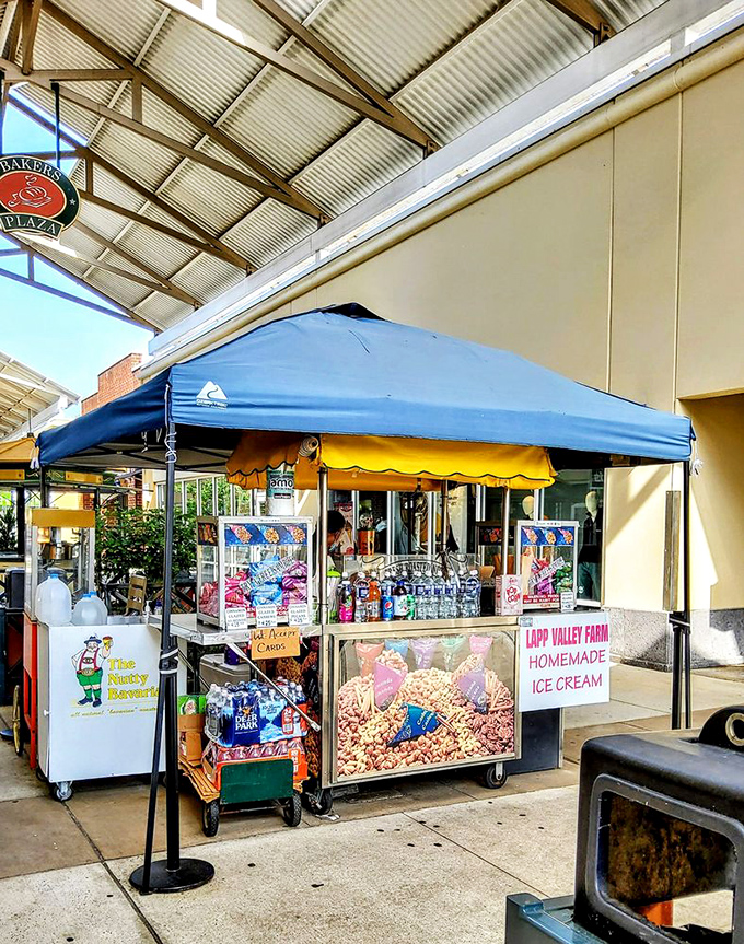 The universal language of vacation: ice cream. Loop Valley Farm's homemade treats offer sweet salvation for shoppers and a strategic bribe for children on good behavior.