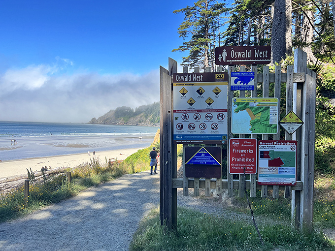 The gateway to adventure – informative signs welcome visitors to Oswald West State Park, where Oregon's natural treasures await discovery.