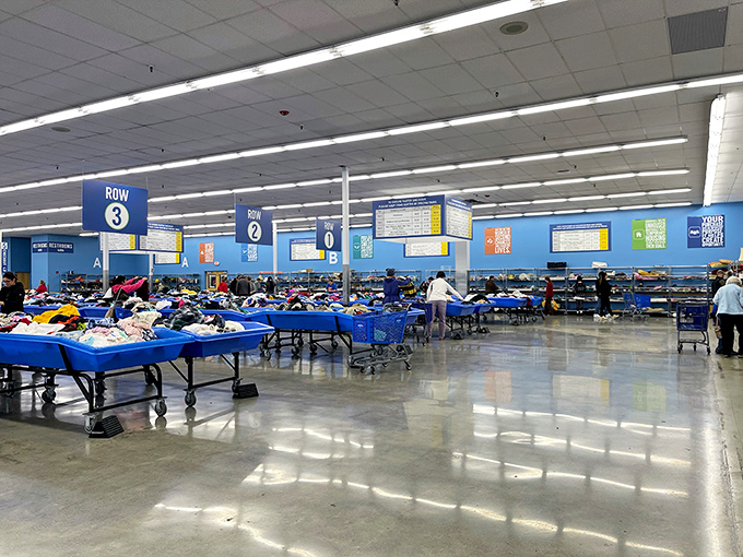 Row after row of organized chaos, where the thrill of the hunt meets the satisfaction of rescue.