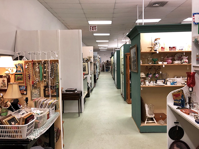 A perfectly organized chaos of collectibles where your grandmother's cherished knick-knacks mingle with items you didn't know you needed until this very moment.