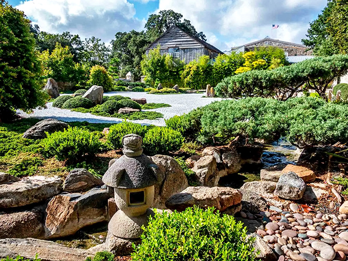 The Japanese Garden offers a surprising cultural twist in this German-Texan town, where carefully placed stones and tranquil greenery create a meditative escape.