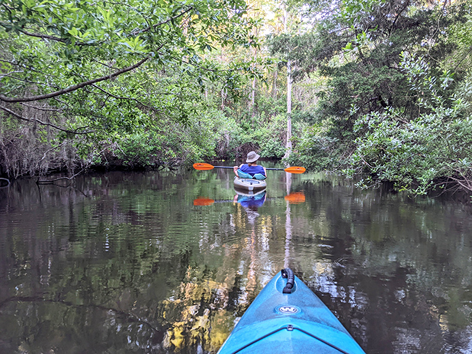 Kayaking Black Creek feels like gliding through a living postcard where Spanish moss drapes the trees like nature's own interior decorator.