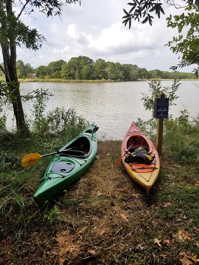 Adventure comes in green and orange at Franklin Point, where these kayaks patiently wait for the next explorer.