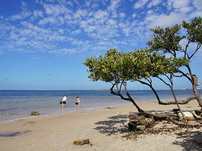 The gentle slope of shoreline creates nature's perfect kiddie pool. Remember when entertainment didn't require charging cables or Wi-Fi passwords?