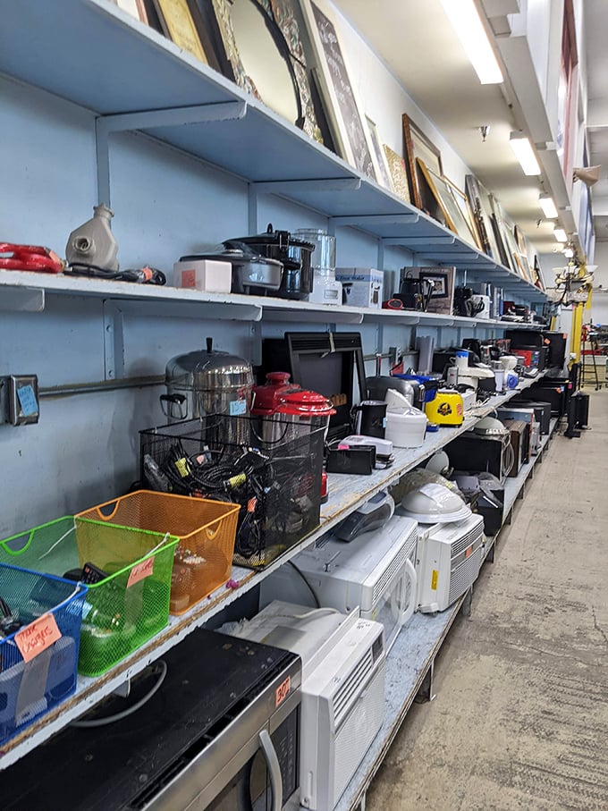 The small appliance section: where kitchen gadgets go for their second act, from pressure cookers to coffee makers waiting for their caffeine-deprived hero.