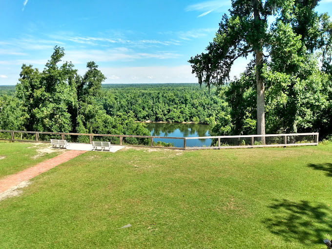 The million-dollar view that doesn't cost a penny. From this bluff overlook, the Apalachicola River unfolds like nature's version of a widescreen masterpiece.