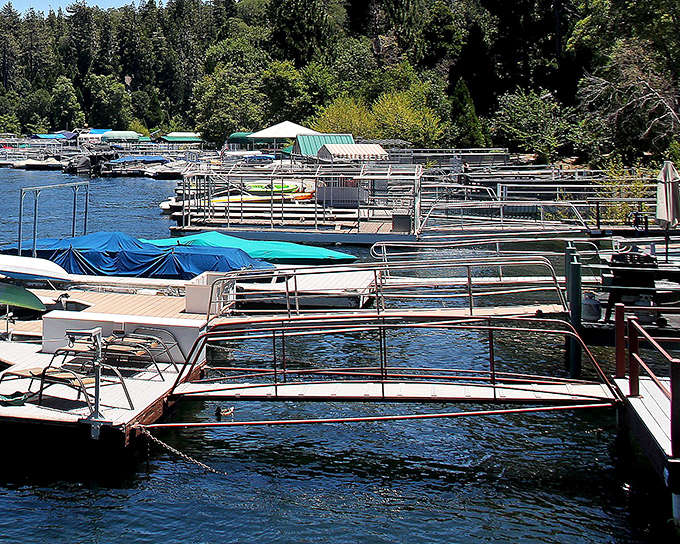 The marina's wooden docks create a geometric pattern against the blue water, like nature's version of mid-century modern design.