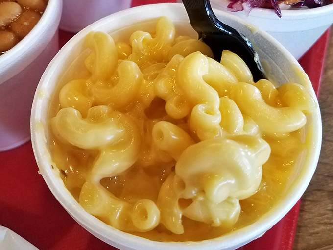 Each macaroni shell cradles liquid gold cheese sauce like tiny edible treasure chests, making side dish status seem like an insult to this masterpiece.