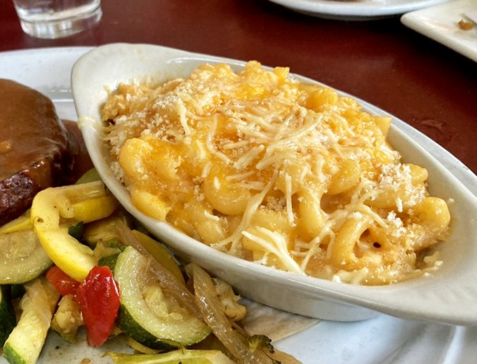 Creamy cheese sauce clings to each pasta curve like it's found its soulmate, while a dusting of breadcrumbs adds the perfect textural counterpoint.