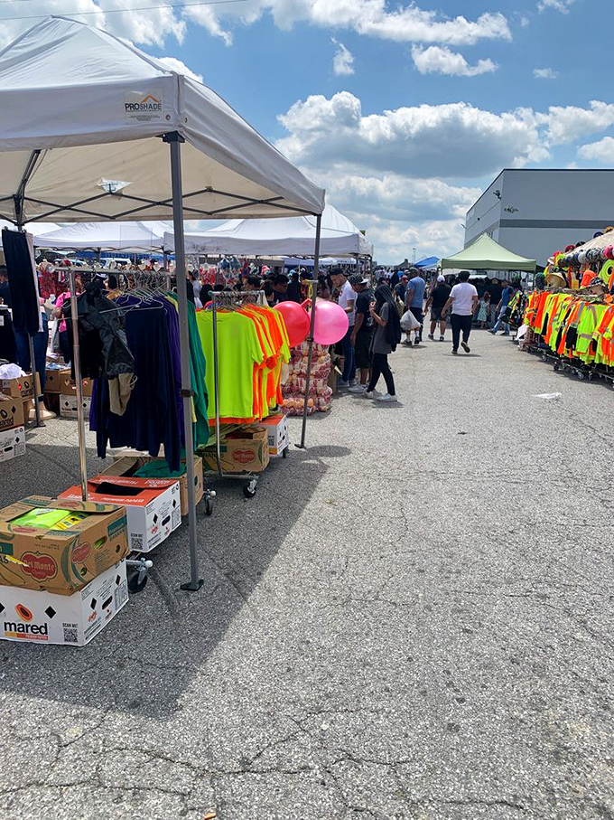 The outdoor market expands like a colorful bazaar under the Maryland sky. Even the sun shows up to browse these weekend deals.