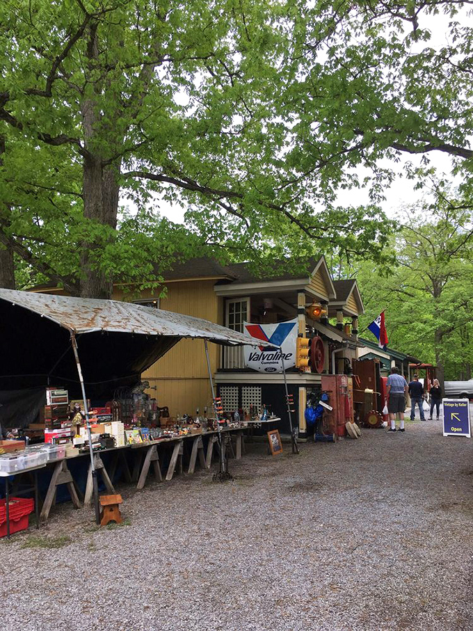 Vintage Americana displayed on simple wooden tables&mdash;democracy in collecting. No fancy displays needed when the merchandise speaks volumes about our shared past.