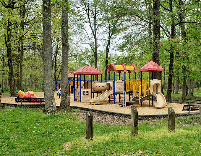 Even the playgrounds in Newark come with a side of serenity, nestled among trees that have seen generations of families.