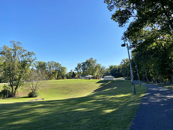 Frank Lorino Park offers wide open spaces where the grass is actually greener, proving that sometimes the best entertainment doesn't require a screen or Wi-Fi password.