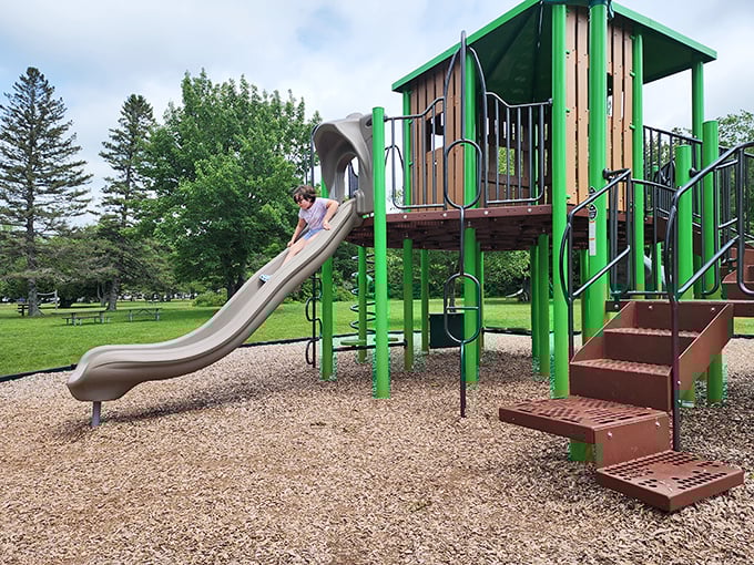 The playground at Brimley State Park&mdash;where kids burn energy and parents silently thank park planners for this moment of peace.